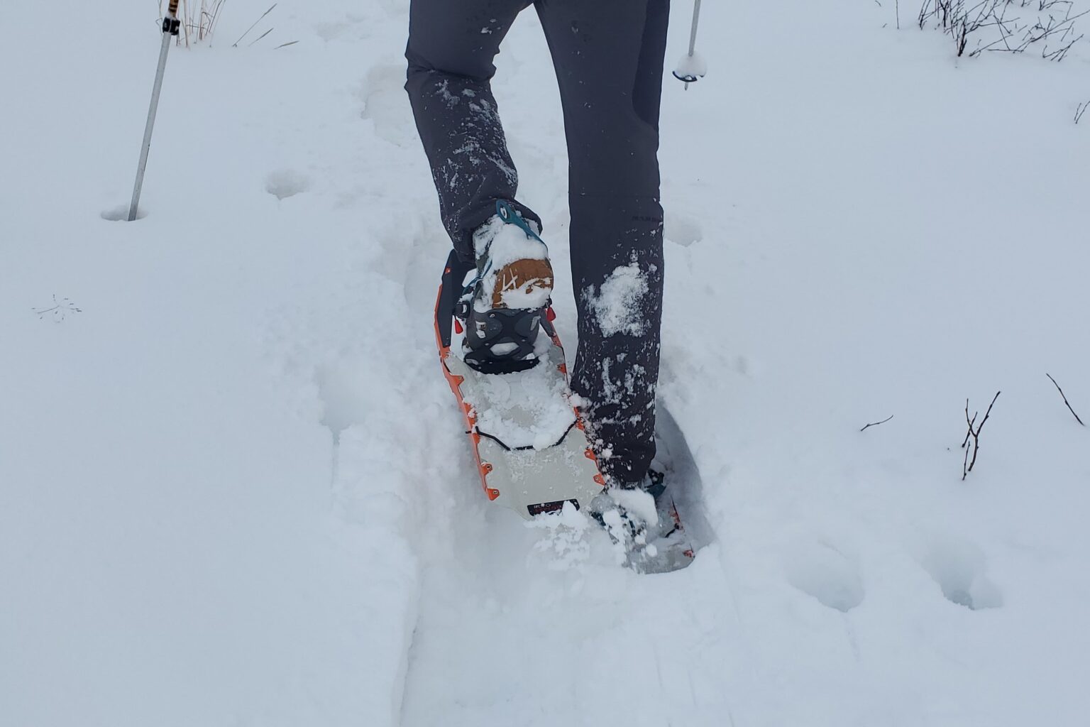 Best Snowshoes of 2026, Tested & Reviewed | CleverHiker