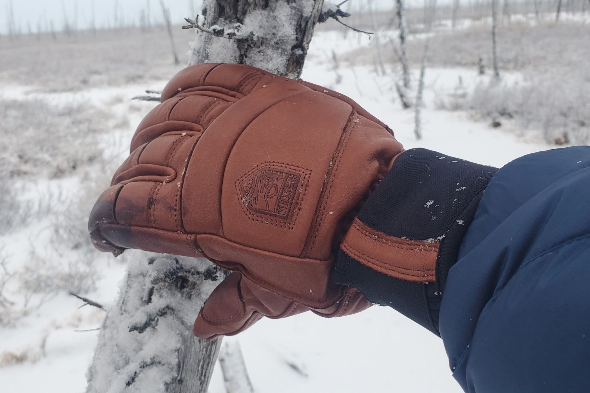 Hestra Fall Line Winter Gloves Review | CleverHiker
