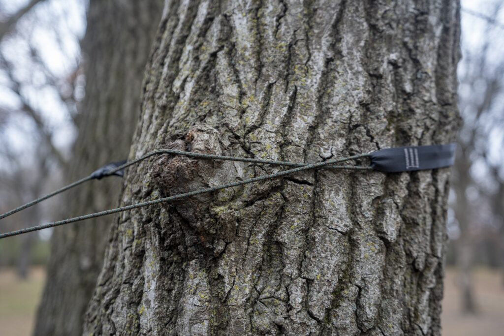 Hennessy Ultralite Asym Zip Review | CleverHiker