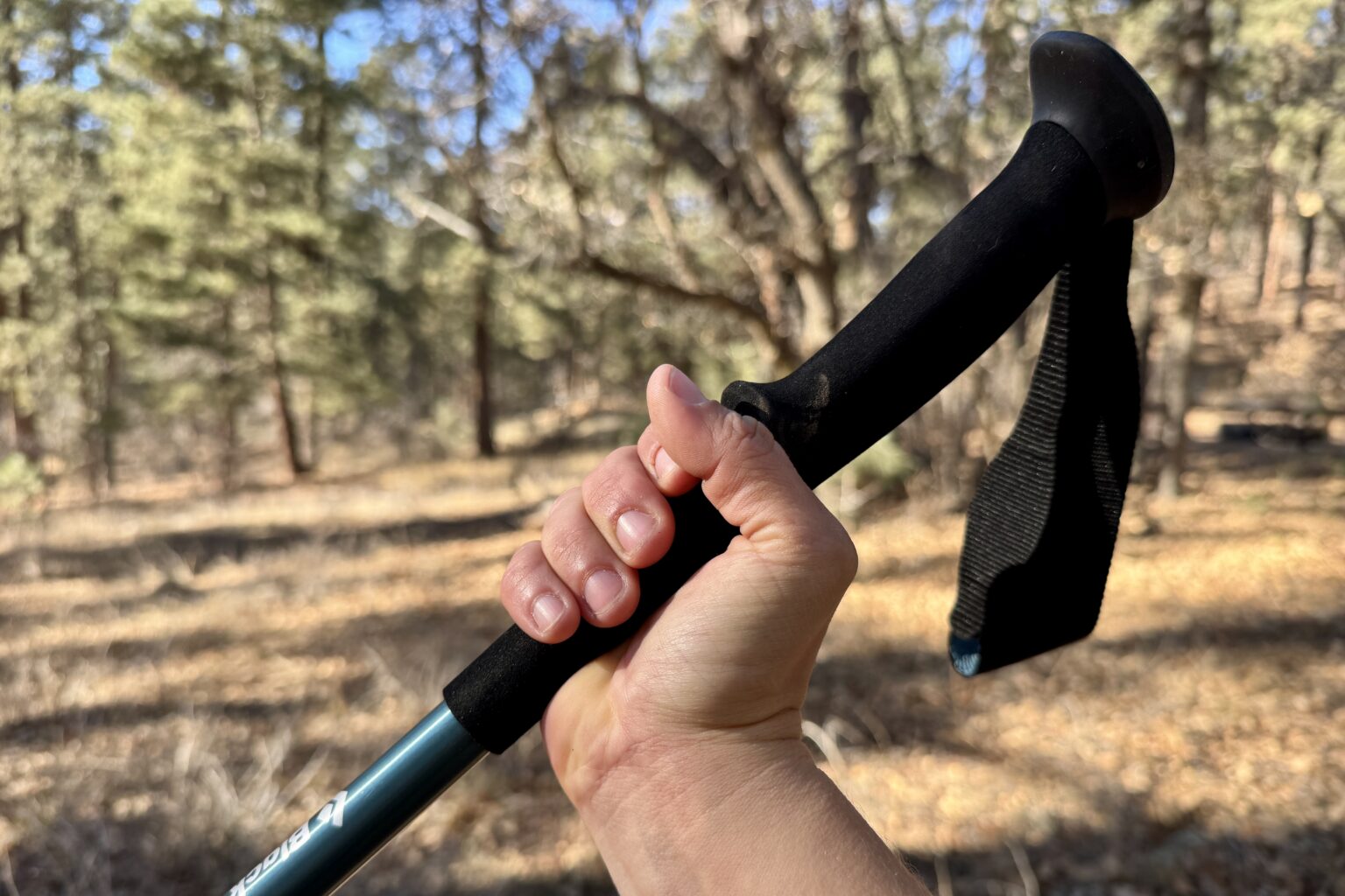 Black Diamond Trail Back Trekking Poles Review | CleverHiker