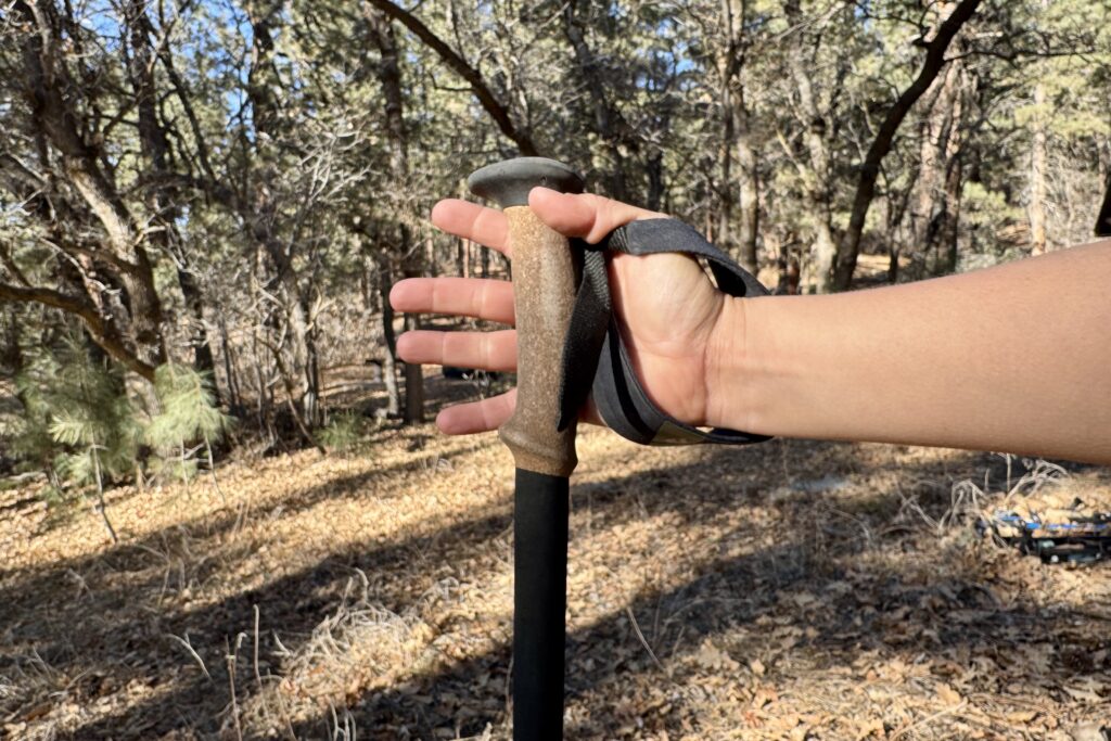 Black Diamond Alpine Carbon Cork Trekking Poles Review | CleverHiker