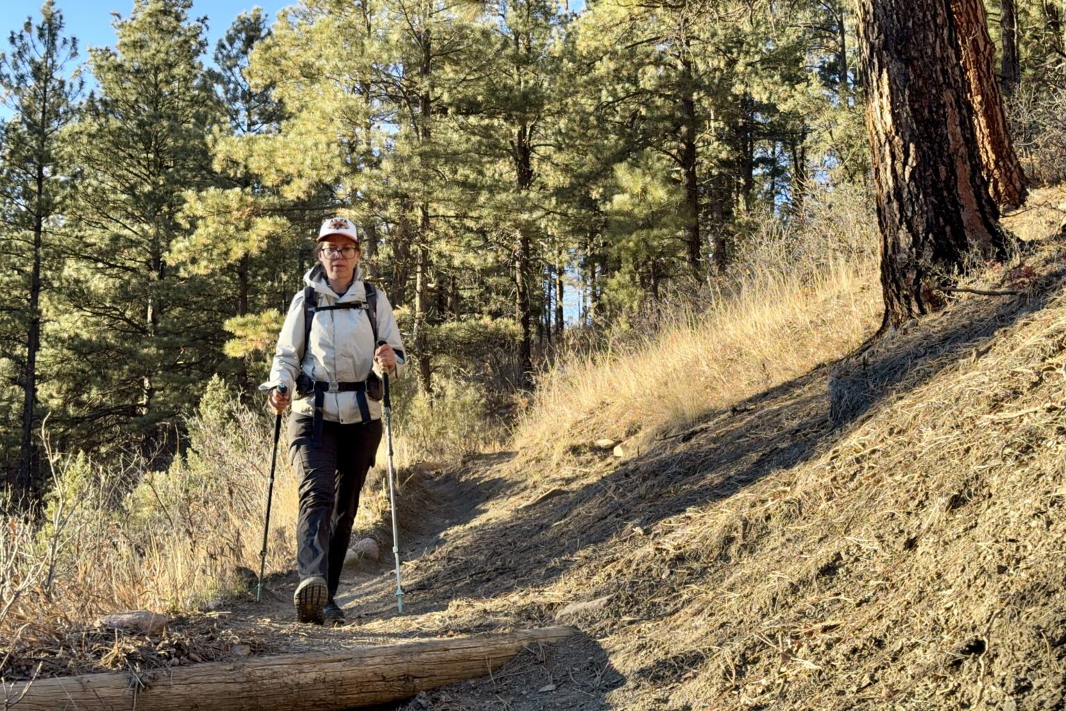 Black Diamond Pusuit Trekking Poles Review | CleverHiker