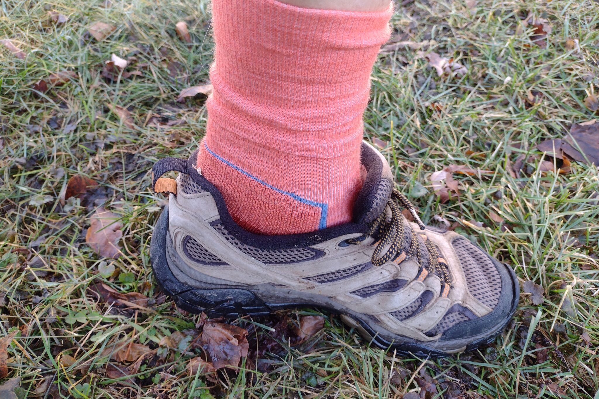 Best Hiking Socks of 2025, Tested & Reviewed | CleverHiker