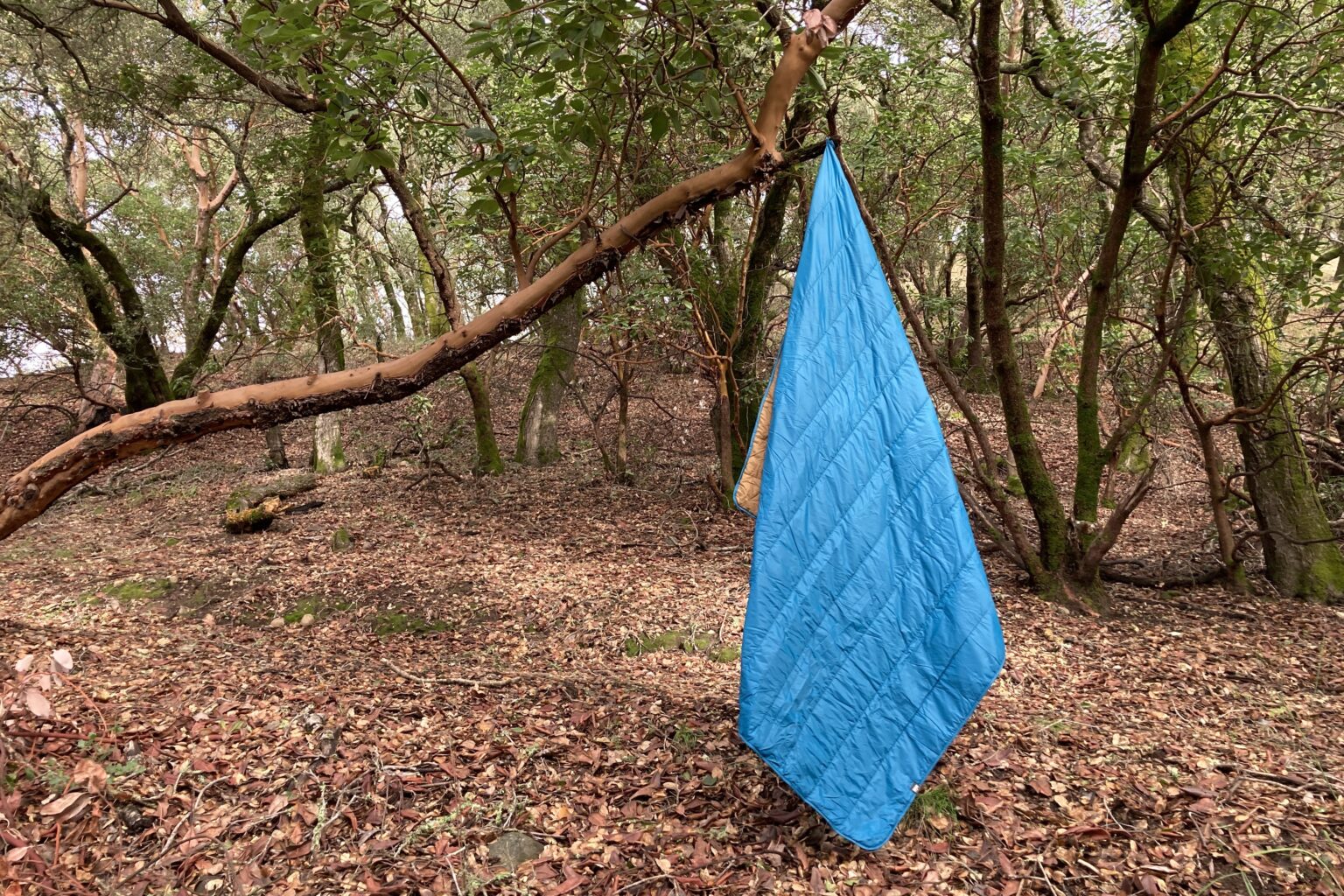REI Camp Blanket Review | CleverHiker