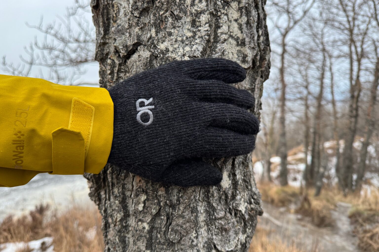 Outdoor Research Flurry Sensor Gloves Review | CleverHiker