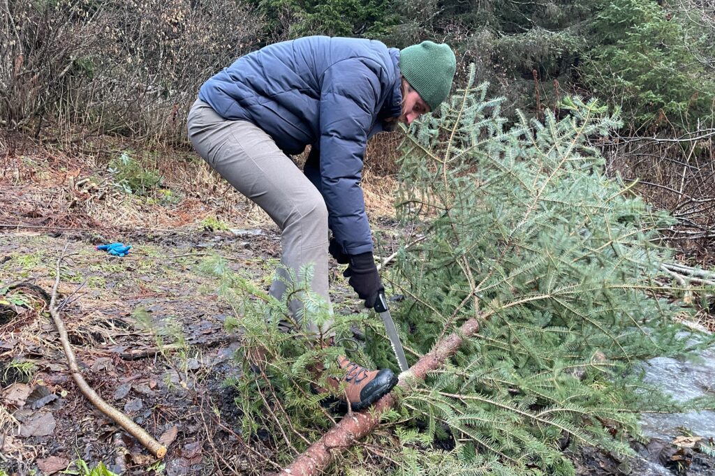 REI Fleece Gloves Review | CleverHiker