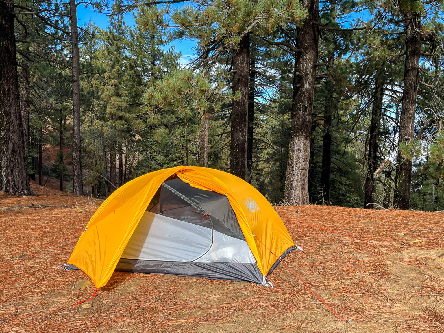 Best Budget Tents of 2026, Tested & Reviewed | CleverHiker