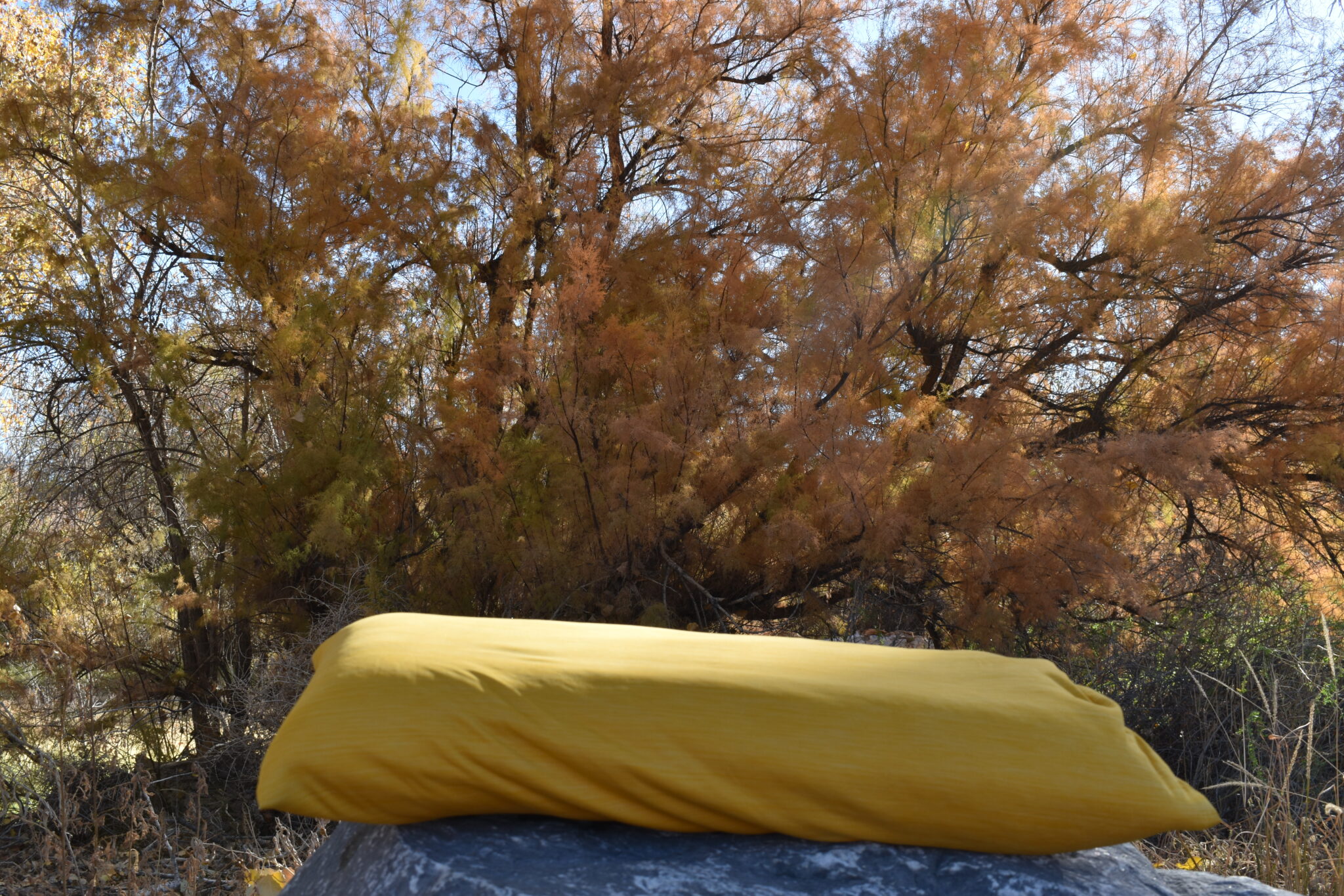 NEMO Fillo Elite Wide Backpacking Pillow Review | CleverHiker