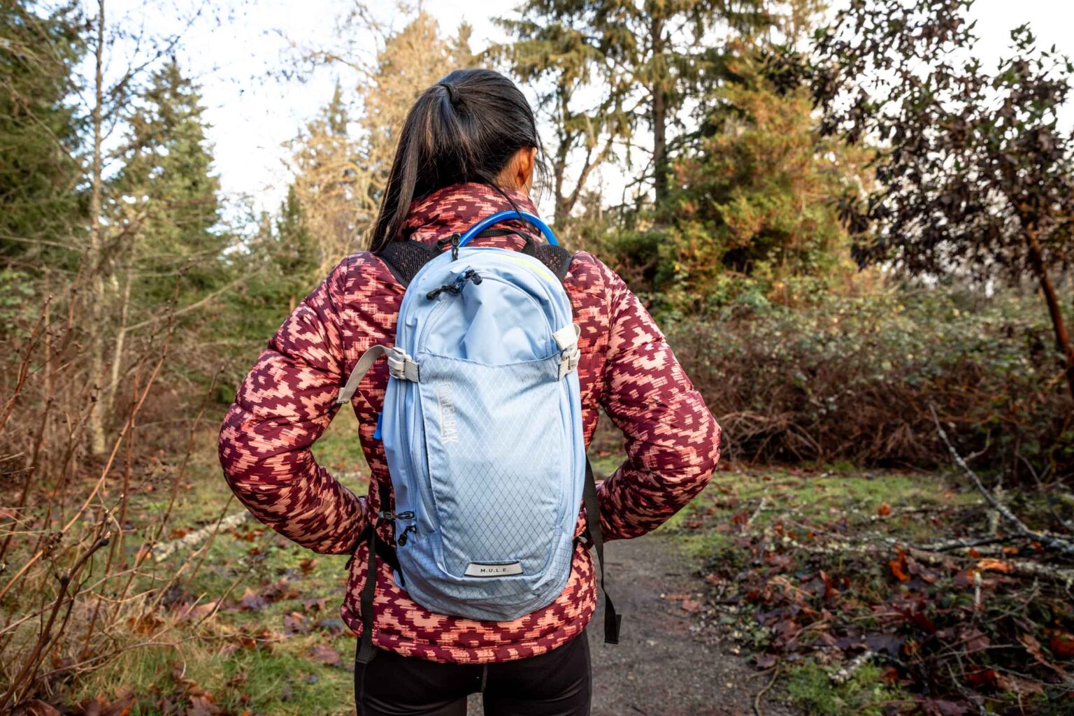 CamelBak MULE 12 Hydration Pack Review | CleverHiker