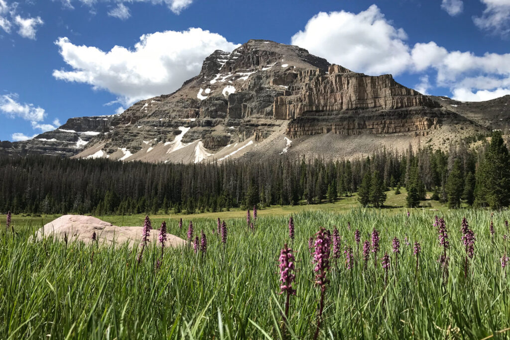 A Backpacking Guide to Utah's Uinta Mountains | CleverHiker