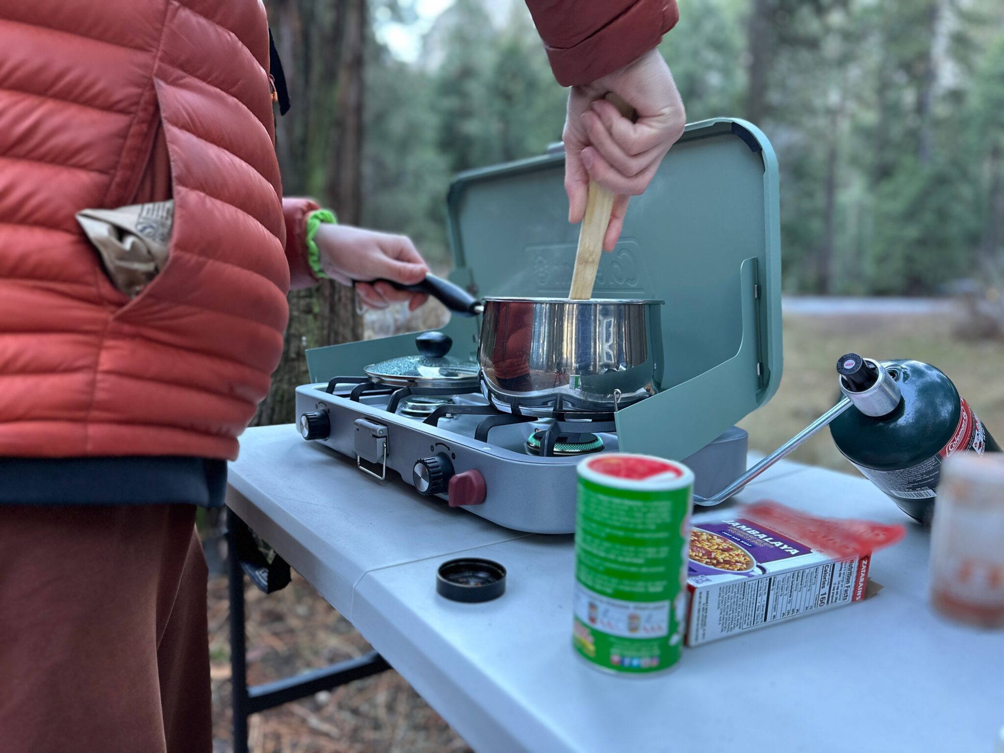 Best Camping Stoves of 2025, Tested & Reviewed | CleverHiker
