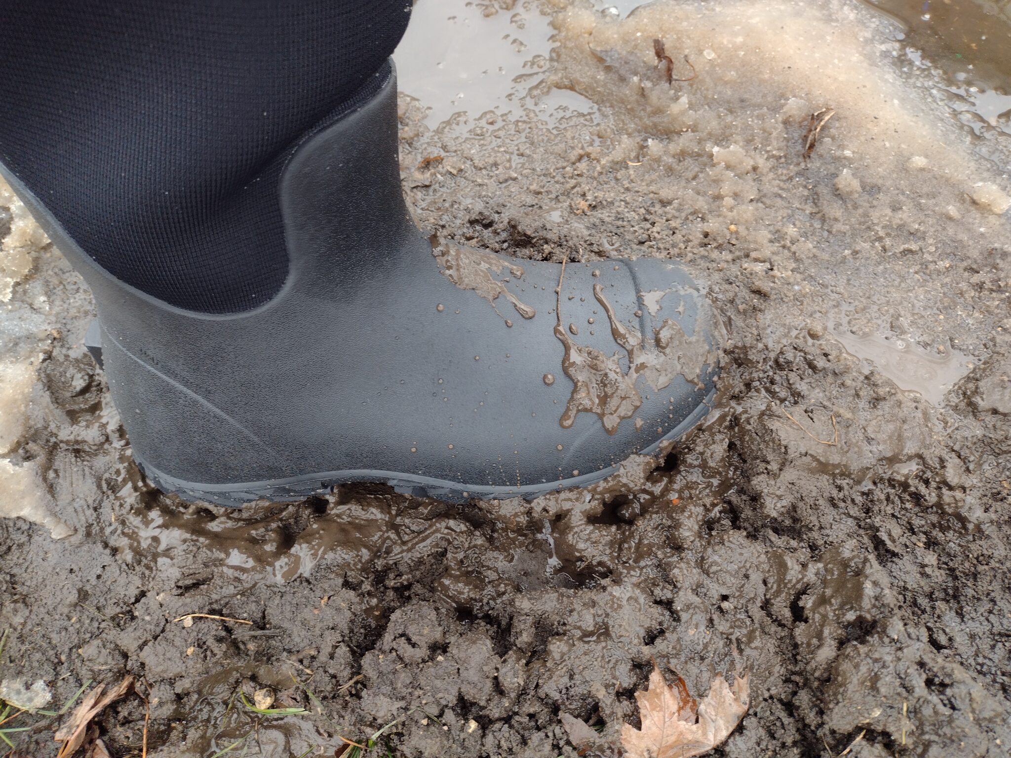Men's Bogs Workman Boots Review | CleverHiker