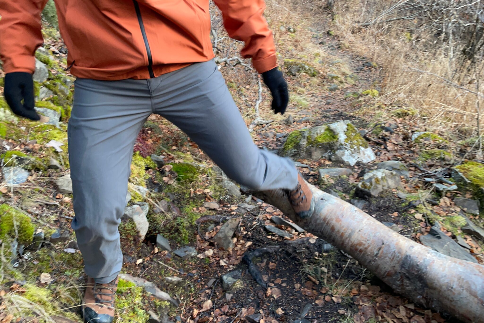 Men's Patagonia Quandary Hiking Pant Hiking Pant Review| CleverHiker