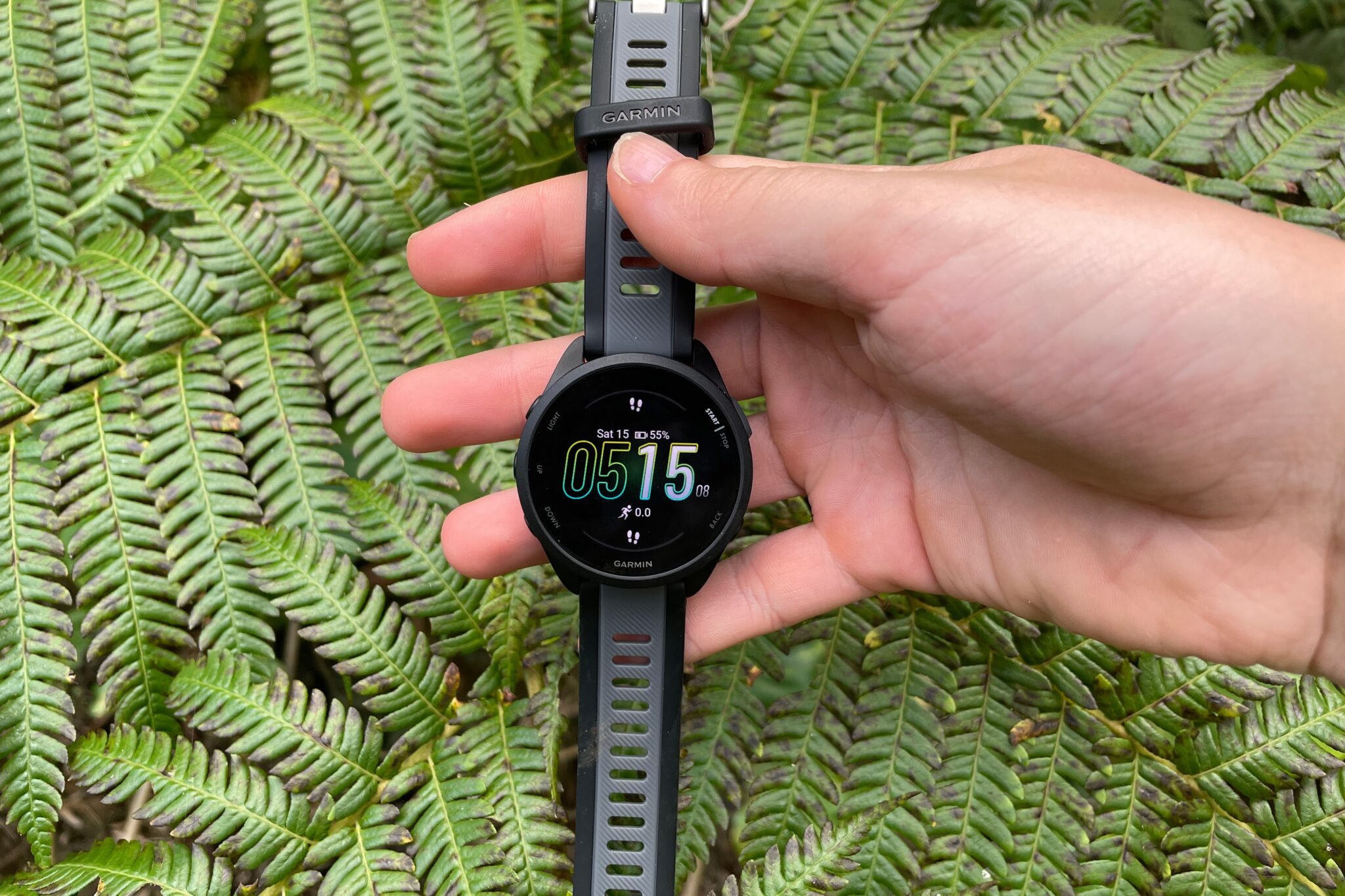 Garmin Forerunner 165 GPS Watch Review | CleverHiker