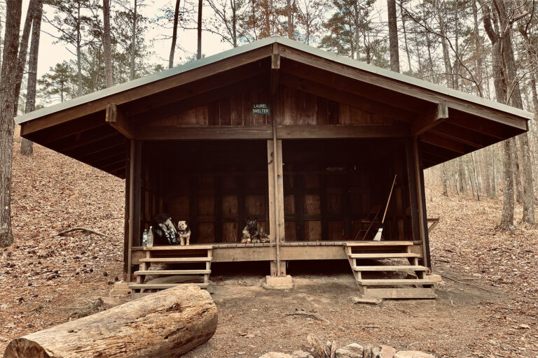 Pinhoti Trail Trip Guide | CleverHiker