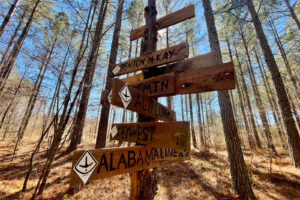 Pinhoti Trail Trip Guide | CleverHiker