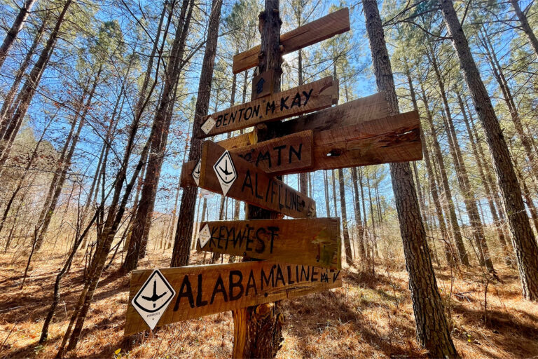 Pinhoti Trail Trip Guide | CleverHiker