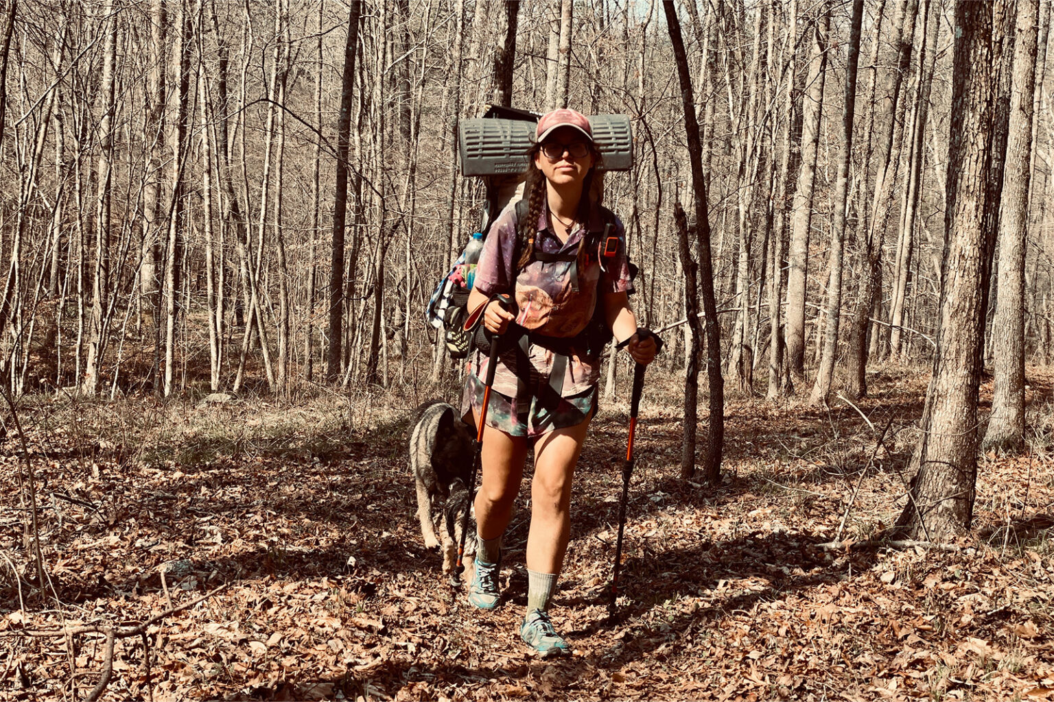 Pinhoti Trail Trip Guide | CleverHiker