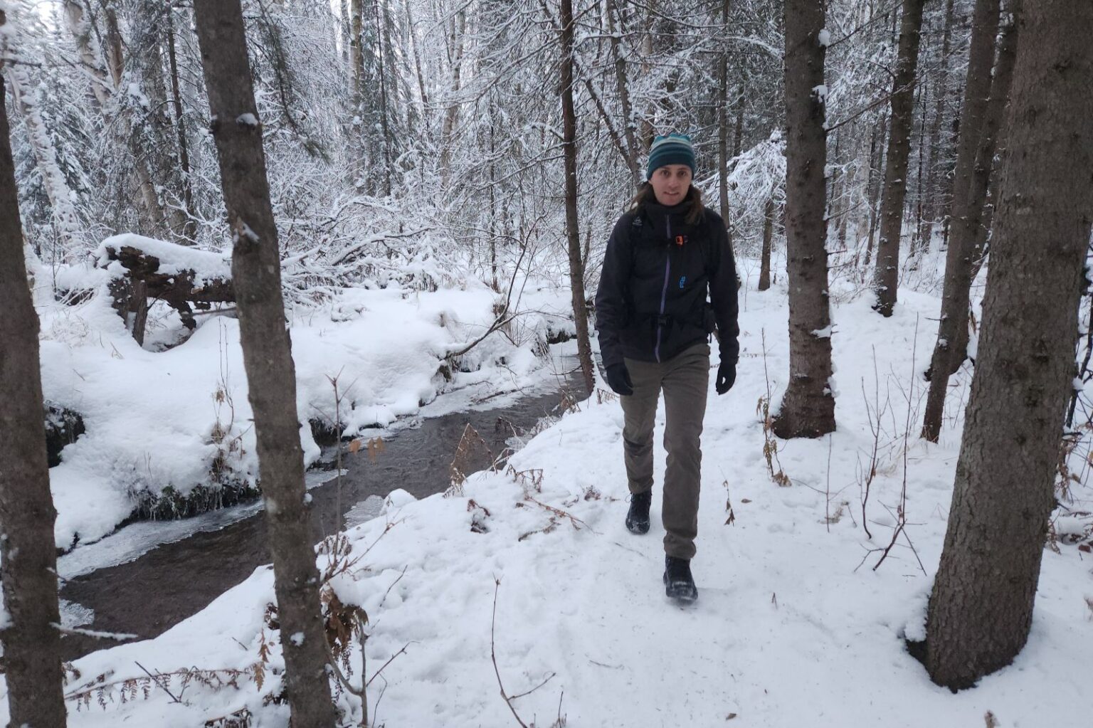 Men's Merrell Thermo Chill 2 Mid Boot Review | CleverHiker