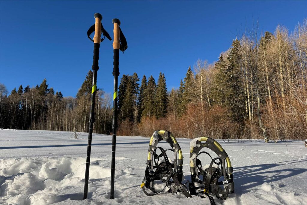 Cascade Mountain Tech Carbon Fiber Trekking Poles Review | CleverHiker